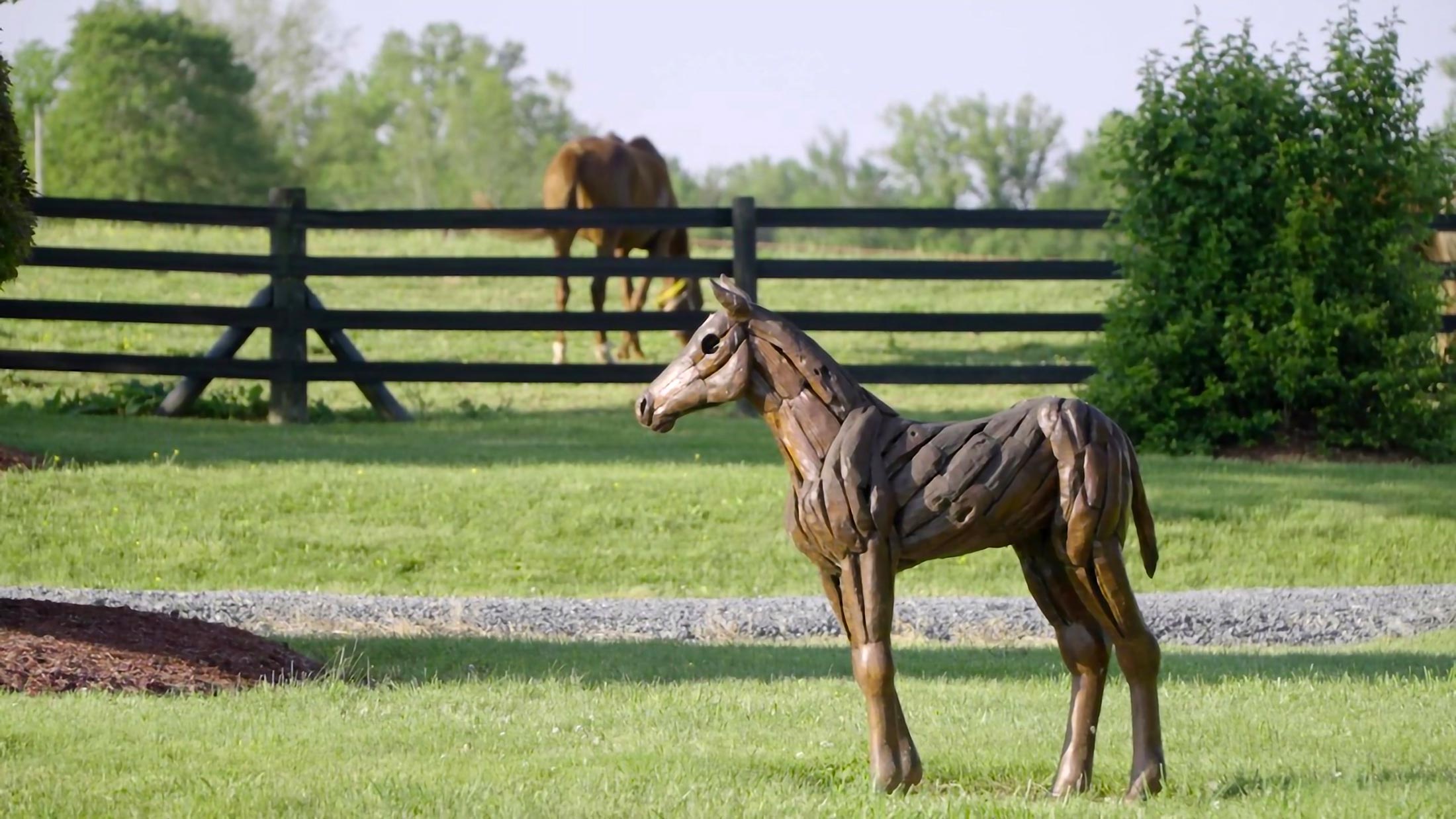 Horse Breeding Services | Equine Reproduction Concepts | Amissville, VA